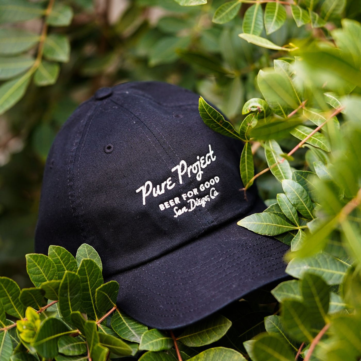 Cursive Pure Dad Hat – Pure Project