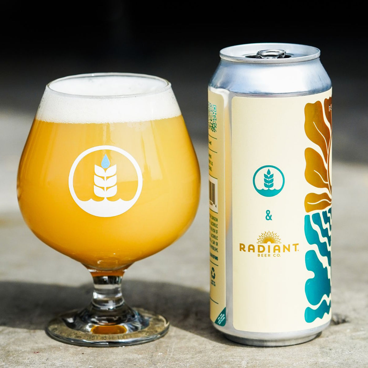 Limitless Light – Pure Project